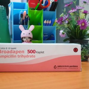 Home - Pedagang Besar Farmasi